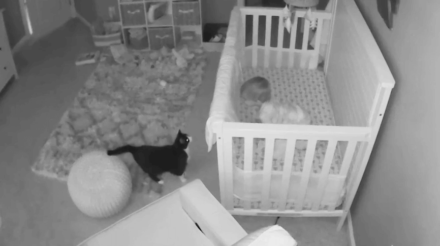 Caught on Camera: Hilariously Scary Baby Monitor Moments from Parents ...
